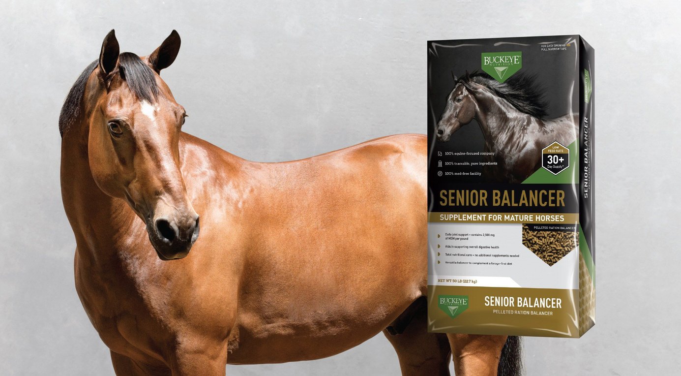 BUCKEYE NUTRITION All-Natural Peppermint Horse Treats, 4-lb bag - Chewy.com