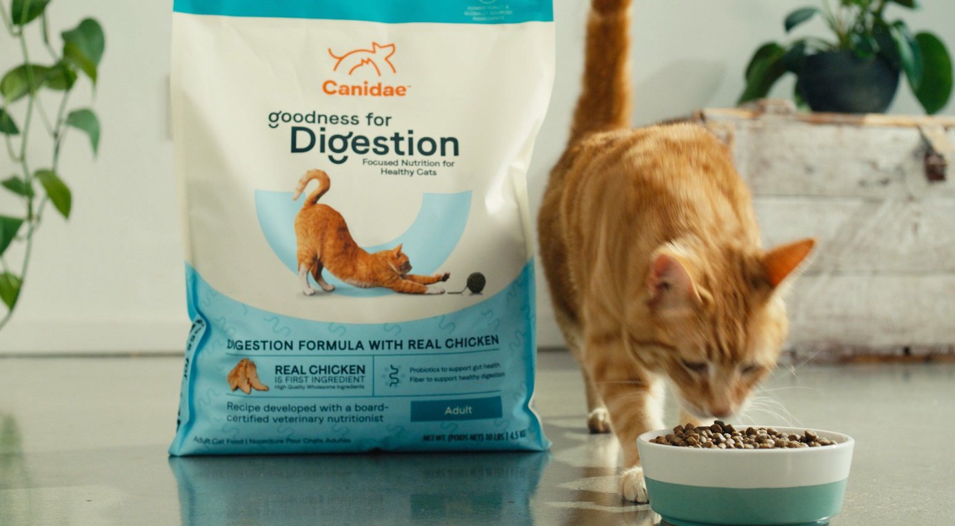 CANIDAE Goodness for Joints Real Salmon Adult Dry Cat Food, 10-lb bag ...