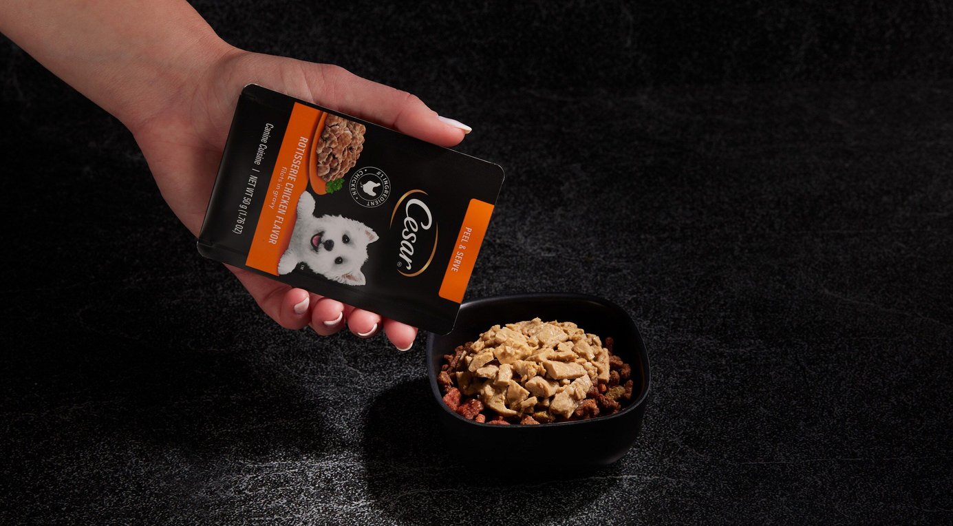 CESAR Rotisserie Chicken Flavor Filets in Gravy Wet Dog Food, 1.76-oz ...