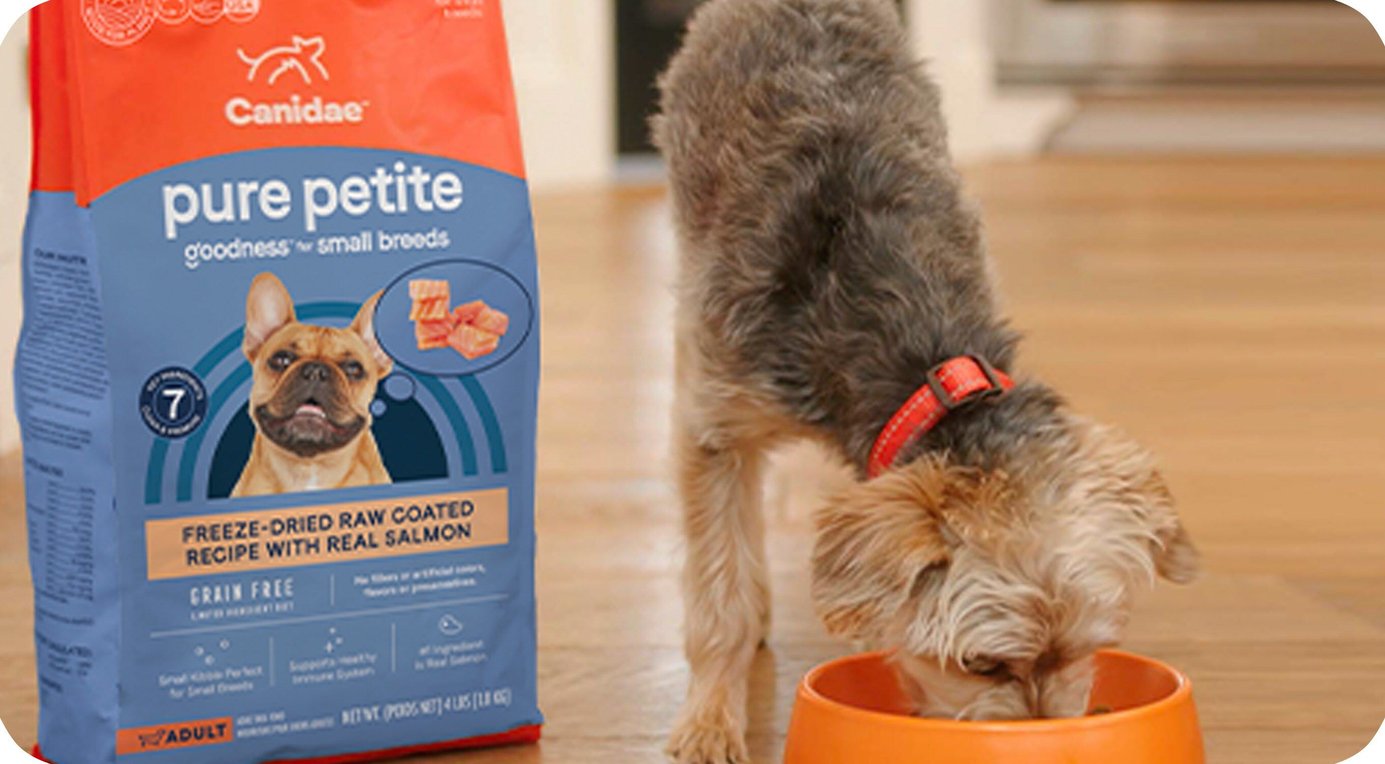 CANIDAE Grain-Free PURE Petite Salmon Formula Small Breed Puppy Limited ...