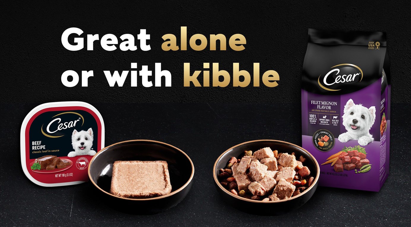 CESAR Puppy Classic Loaf in Sauce Chicken & Beef Recipe Small Breed Wet ...