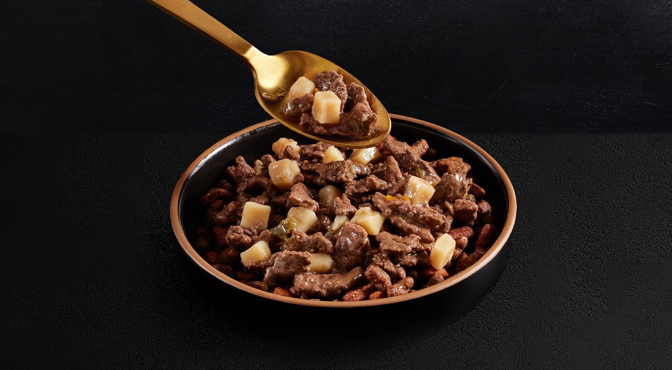 CESAR Home Delights Chicken & Noodle Dinner Adult Small Breed Wet Dog ...