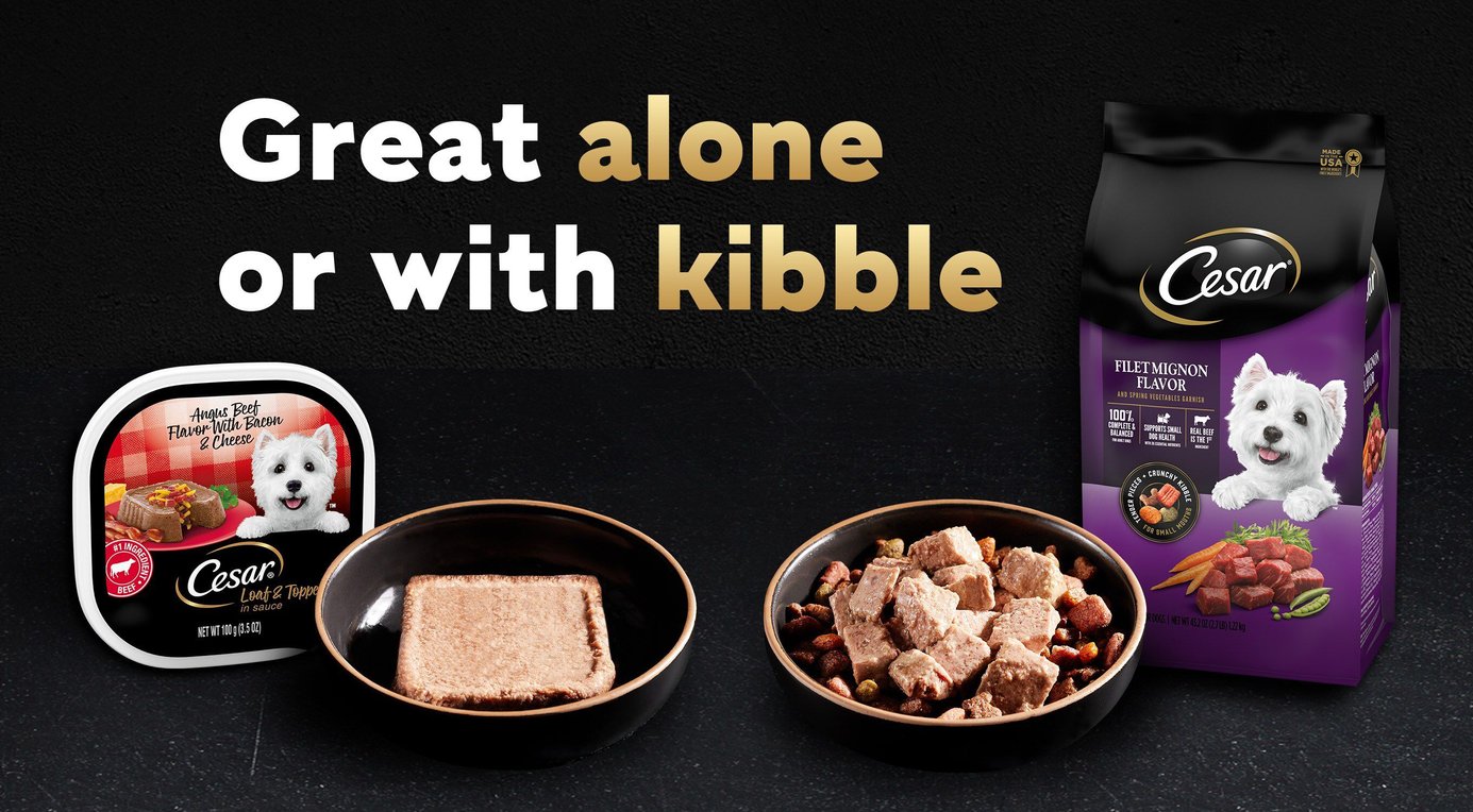 CESAR Loaf & Topper in Sauce Angus Beef Flavor with Bacon & Cheese ...