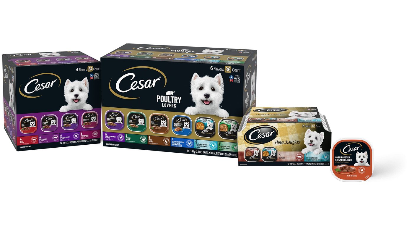 CESAR Classic Loaf in Sauce Variety Pack Small Breed Wet Dog Food, 3.5 ...