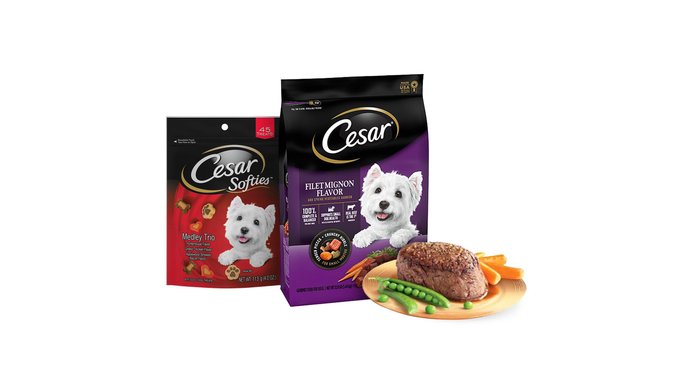 CESAR Classic Loaf in Sauce Variety Pack Small Breed Wet Dog Food, 3.5 ...
