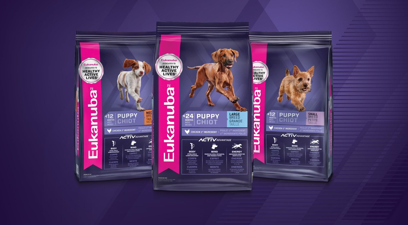 EUKANUBA Puppy Small Breed Dry Dog Food, 4.5-lb bag - Chewy.com