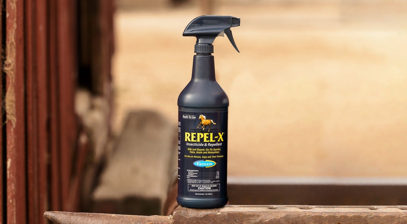 FARNAM Repel-X Dog & Horse Insecticide & Repellent, 32-fl oz bottle ...