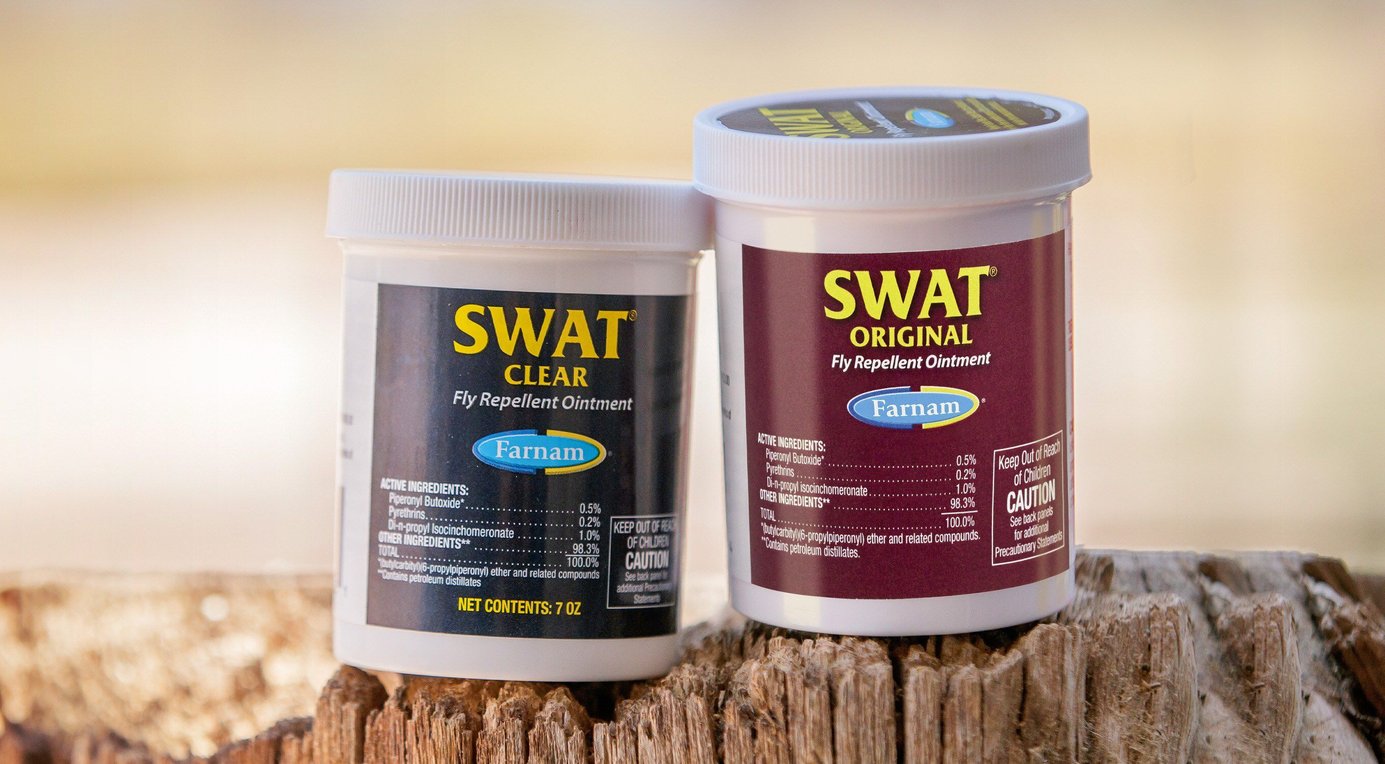 FARNAM Swat Original Fly Repellent Ointment Horse Supplement, 7-oz tub ...