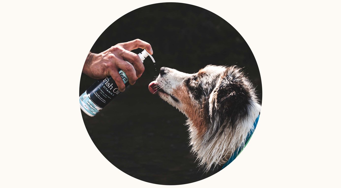 FERA PETS Mushroom Immune Support Dog & Cat Supplement, 120 servings ...