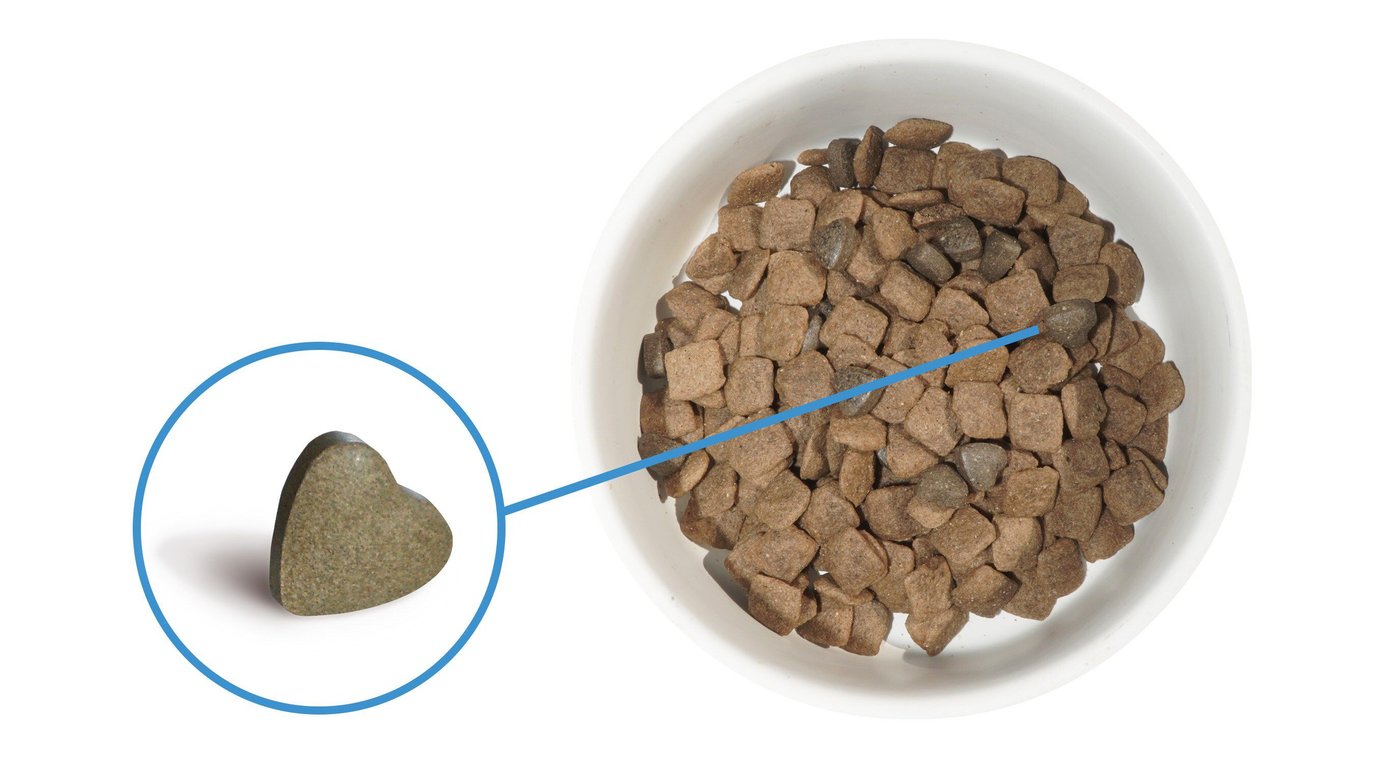 FORZA10 Nutraceutic Active Dermo Dry Dog Food, 8.8-lb bag - Chewy.com