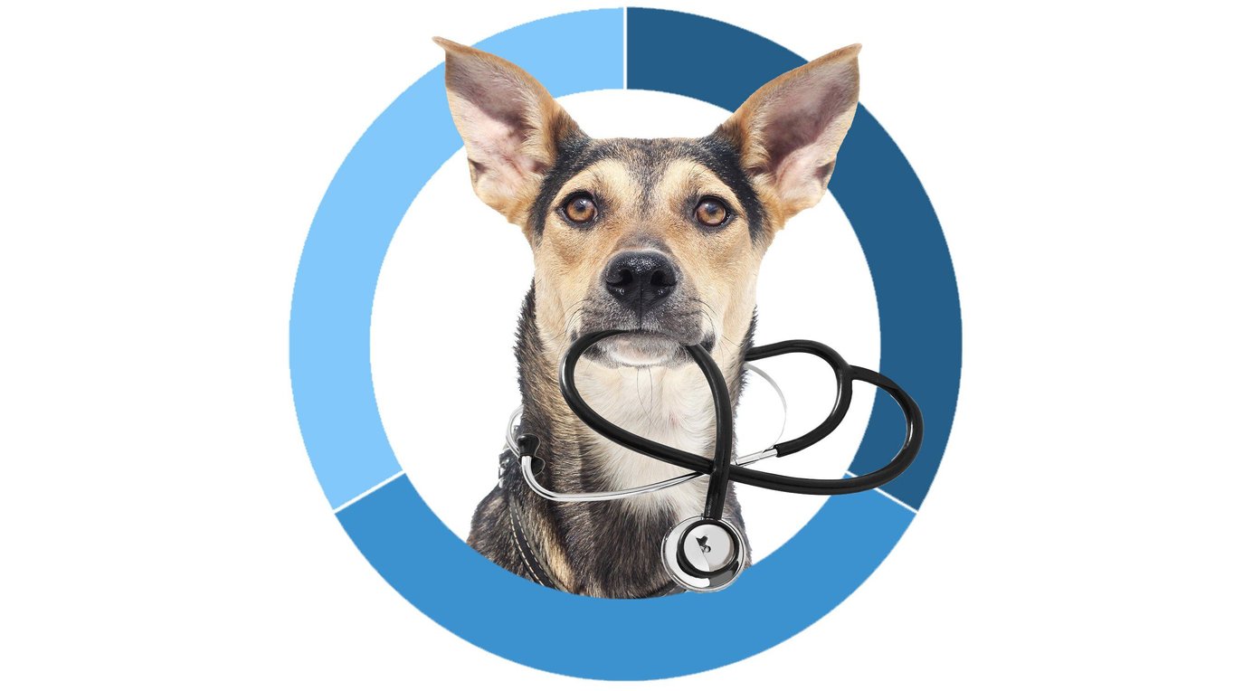 FORZA10 Nutraceutic Active Dermo Dry Dog Food, 8.8-lb bag - Chewy.com