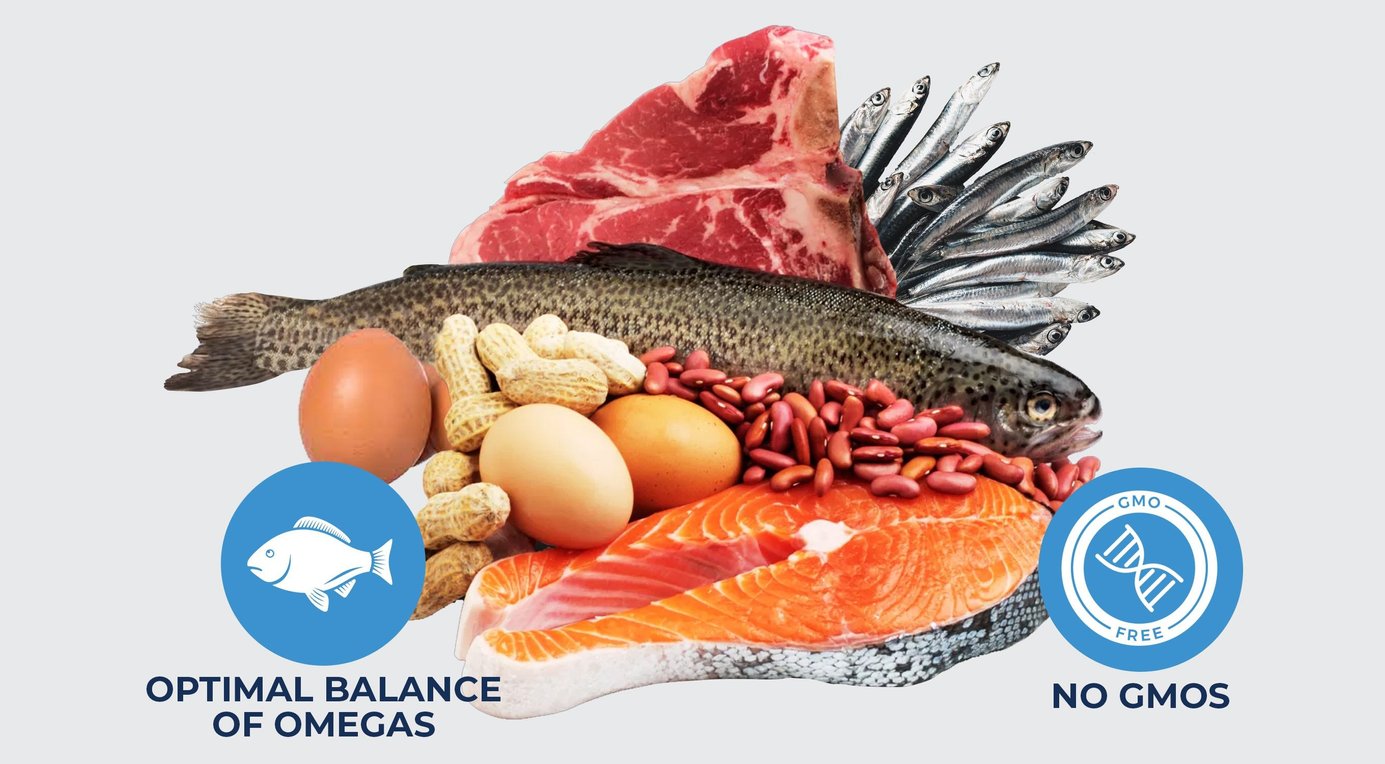 Discontinued - FORZA10 Nutraceutic Legend Digestion Grain-Free Wild ...