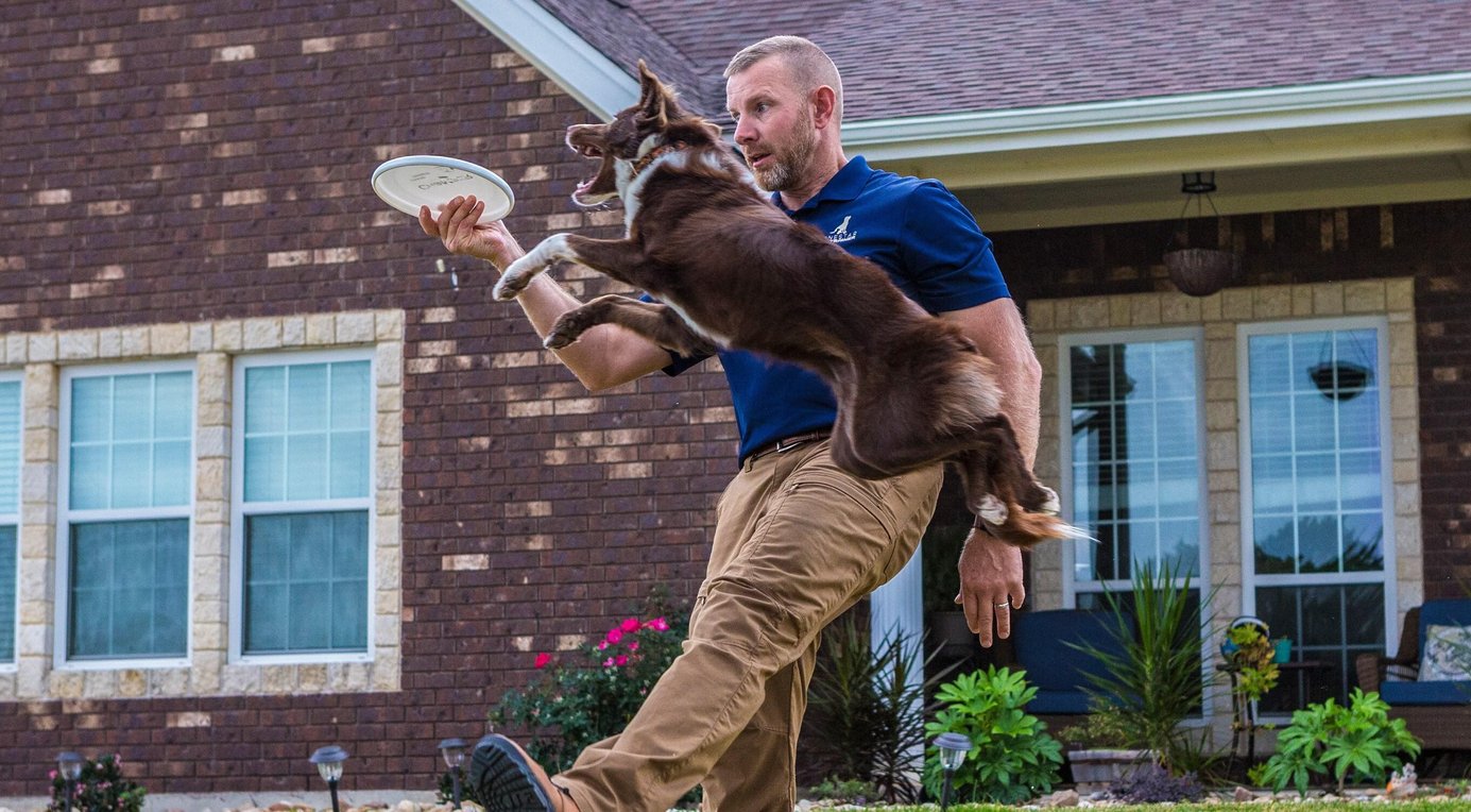 GARMIN Delta SE Hand-Held Remote Dog Training System, Black, Small ...