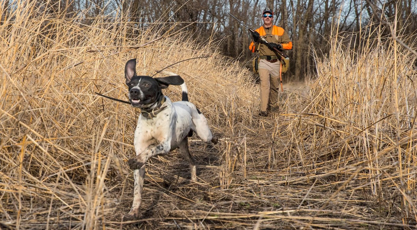 GARMIN Delta SE Hand-Held Remote Dog Training System, Black, Small ...