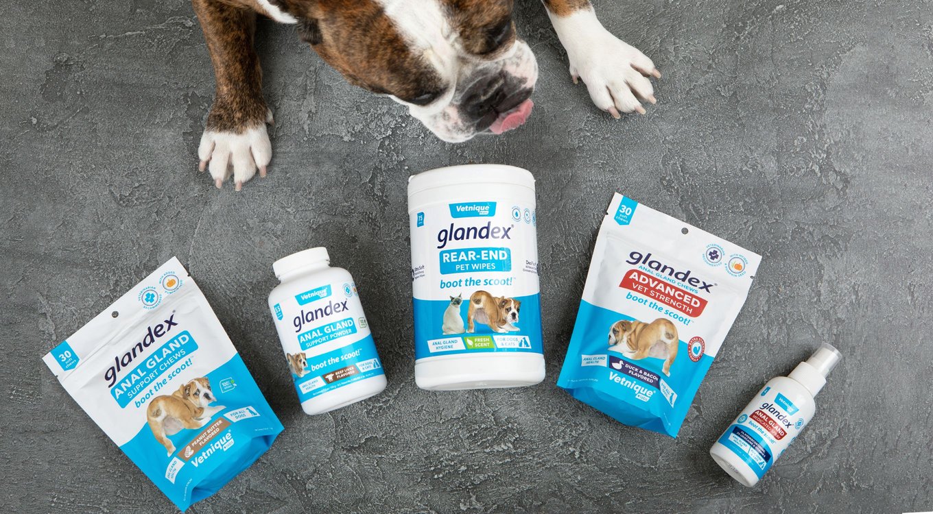 VETNIQUE LABS Glandex Dog Anal Gland Support Soft Chews with Pumpkin ...