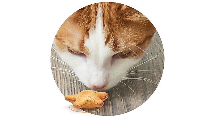 GOOD 'N' TASTY Chicken, Salmon, Tuna Kabob Cat Treats 1.4-oz bag ...