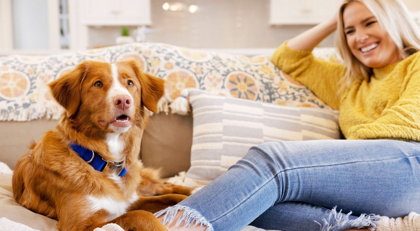 GREENIES Skin & Coat Chicken Flavored Soft Chew Fish Oil Skin & Coat ...