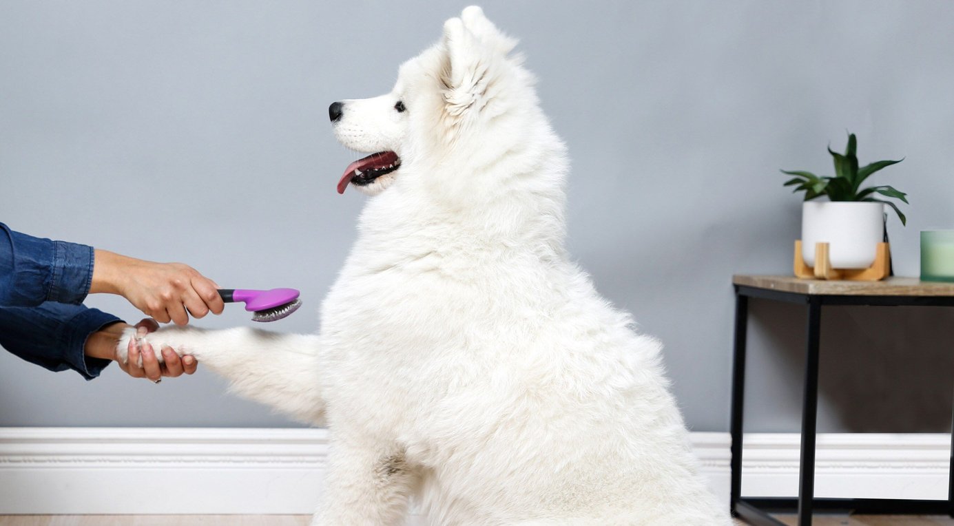 Discontinued - HARTZ Groomer's Best Flea Comb for Dogs & Cats - Chewy.com