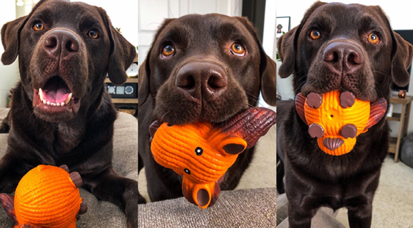 HUGGLEHOUNDS Ruff-Tex Squeaky Dog Toy, Moose, Large - Chewy.com