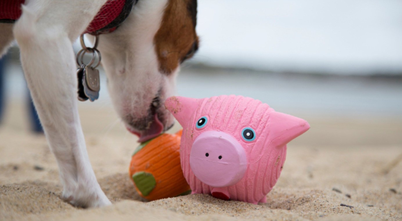 HUGGLEHOUNDS Ruff-Tex Squeaky Dog Toy, Moose, Large - Chewy.com