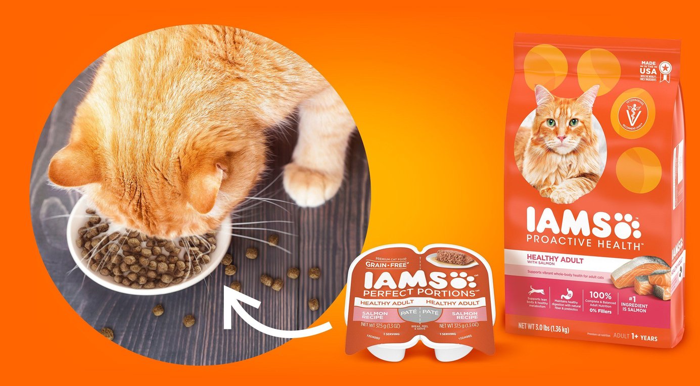 IAMS Proactive Health Kitten Chicken Recipe Dry Cat Food, 16-lb bag ...