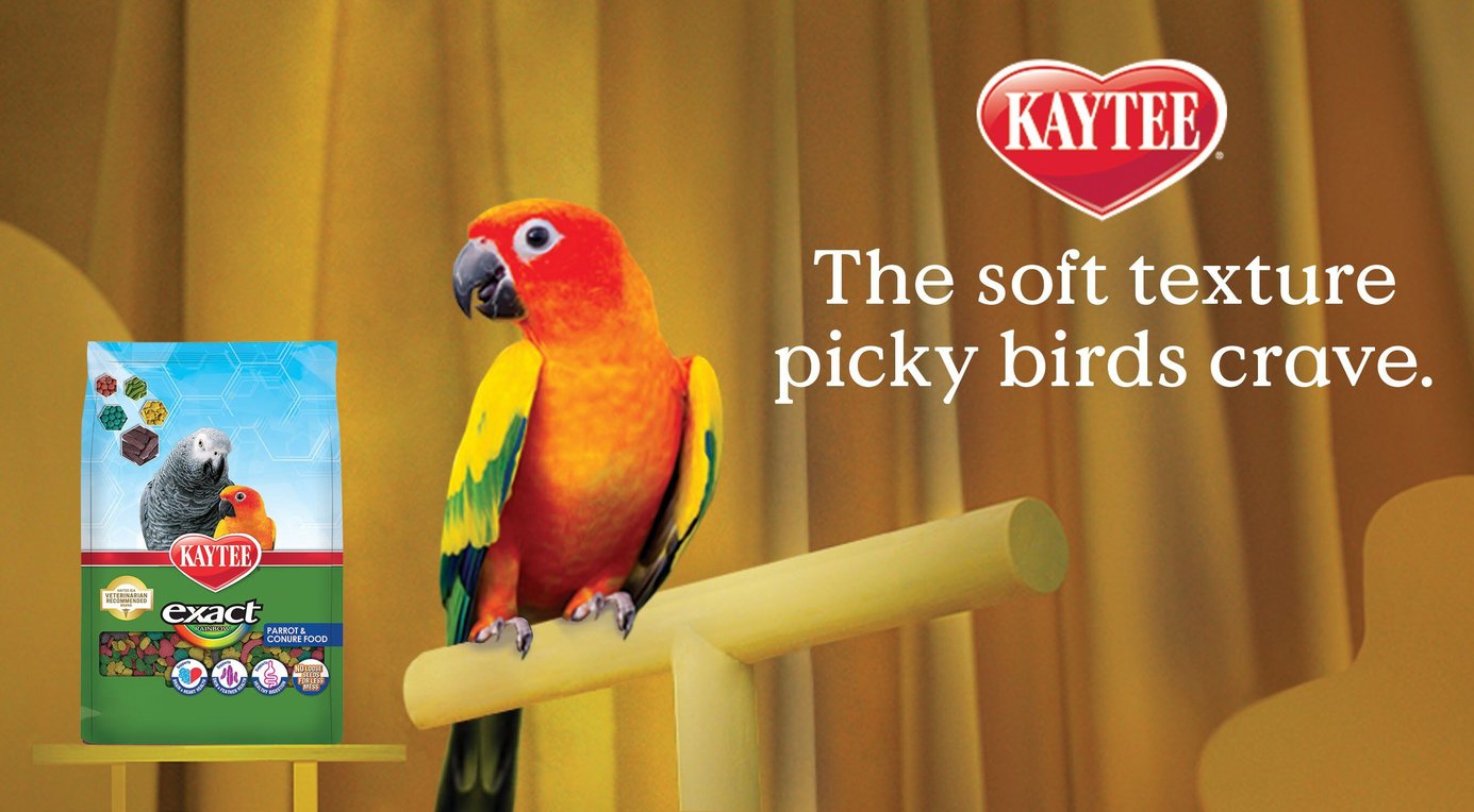 KAYTEE Exact Rainbow Large Parrot Bird Food, 20-lb bag - Chewy.com