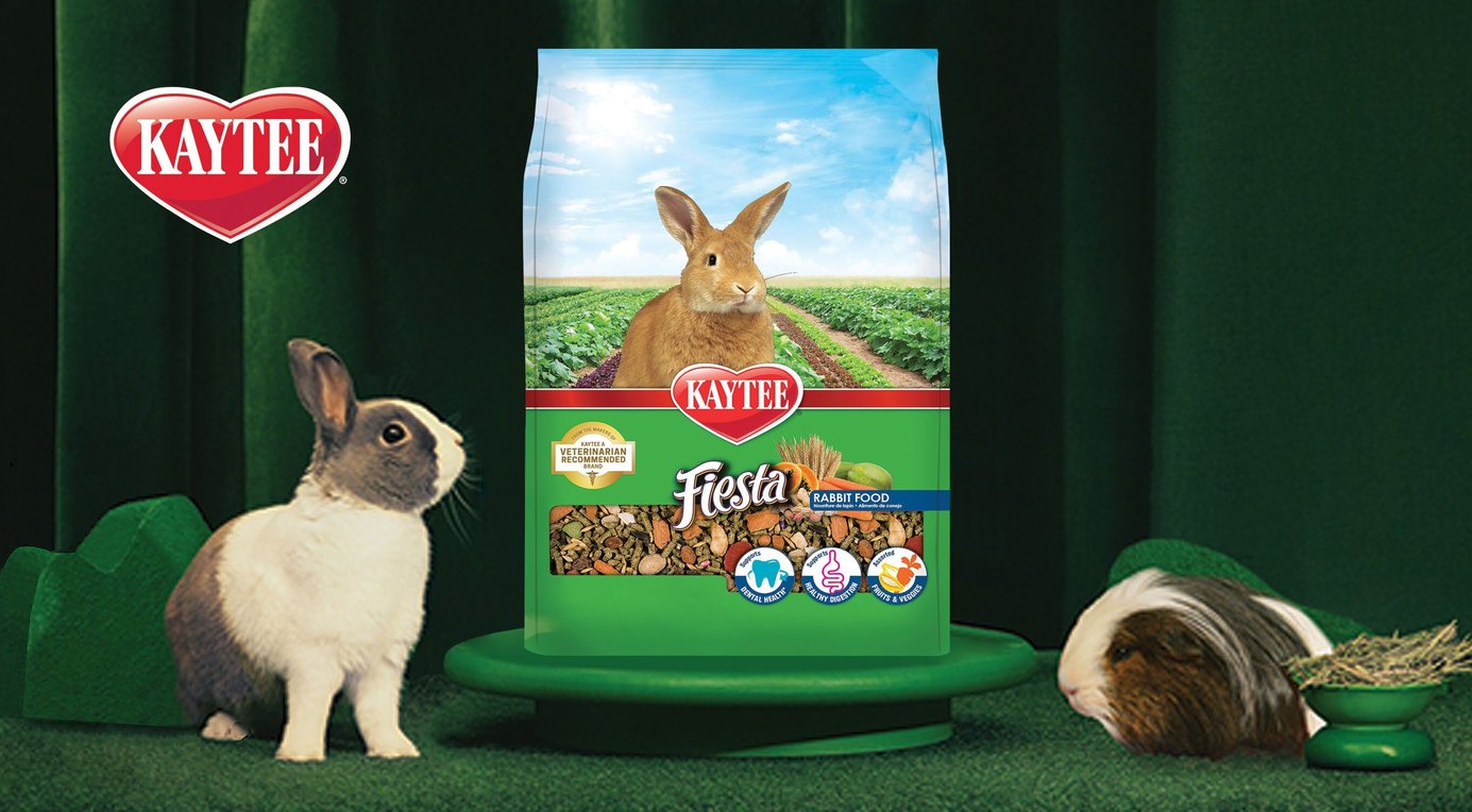 KAYTEE Fiesta Gourmet Variety Diet Mouse & Rat Food, 4.5-lb bag - Chewy.com