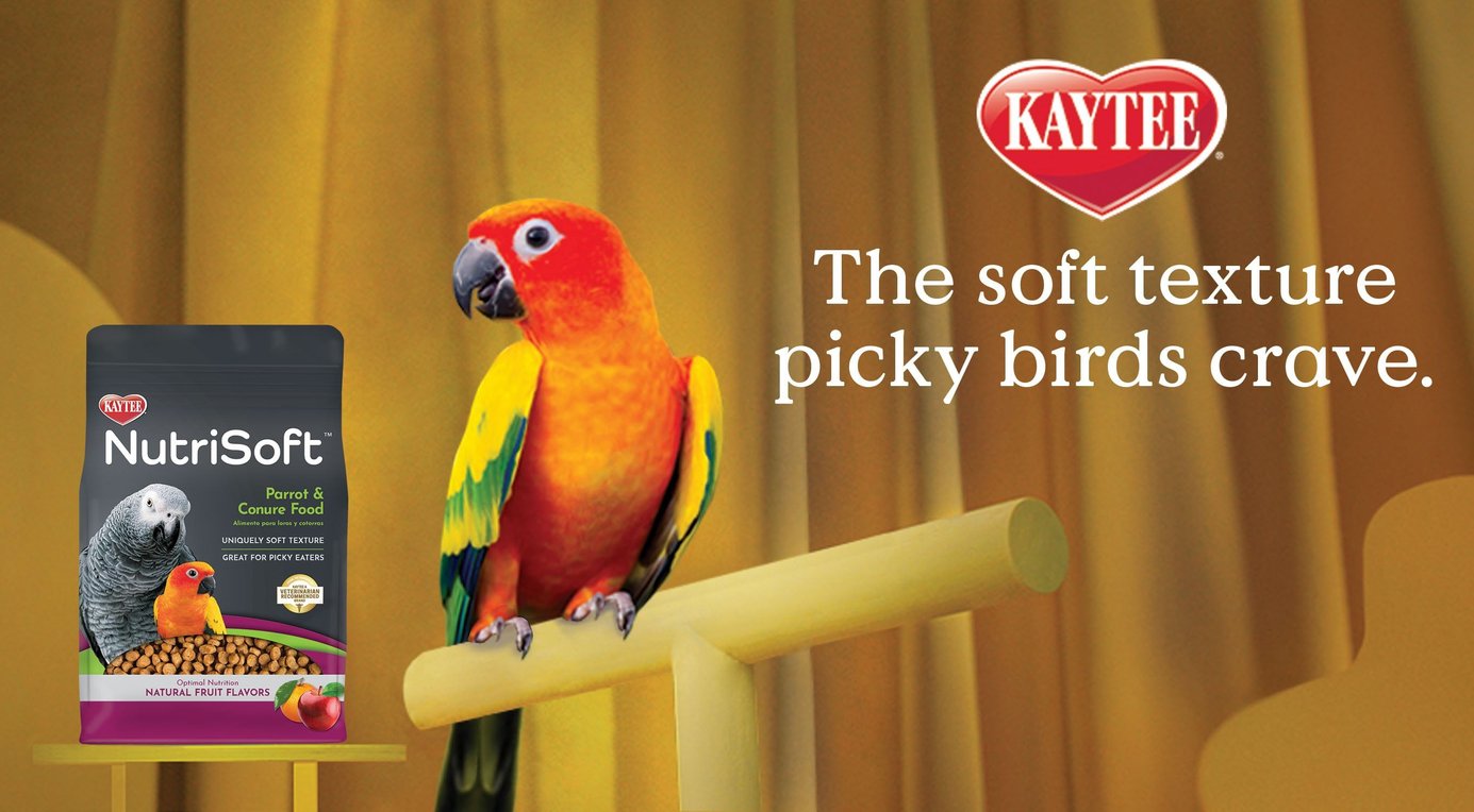 KAYTEE NutriSoft Parakeet & Cockatiel Bird Food, 2-lbs - Chewy.com