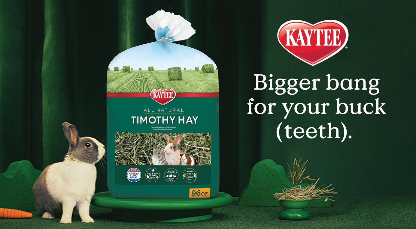 KAYTEE Natural Timothy Hay Small Animal Food, 24-oz bag - Chewy.com