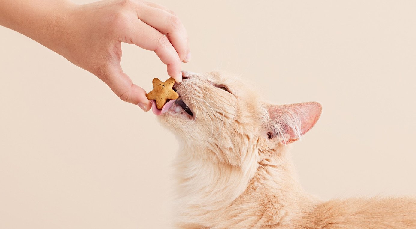 MEOWEE! Savory Spoonables with Real Chicken, Salmon & Duck Lickable Cat ...
