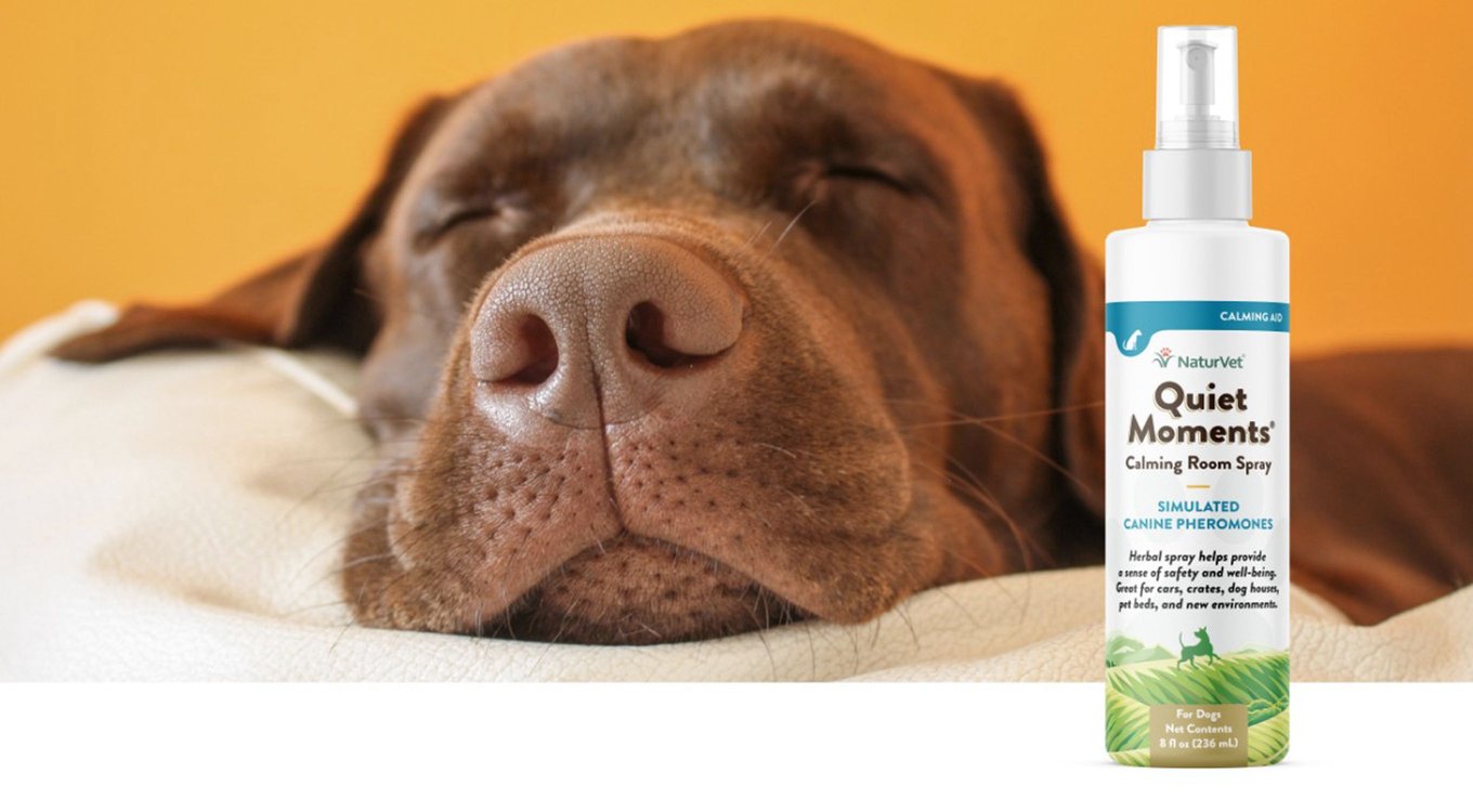 NATURVET Quiet Moments Calming Bacon & Chicken Flavored Soft Chew ...