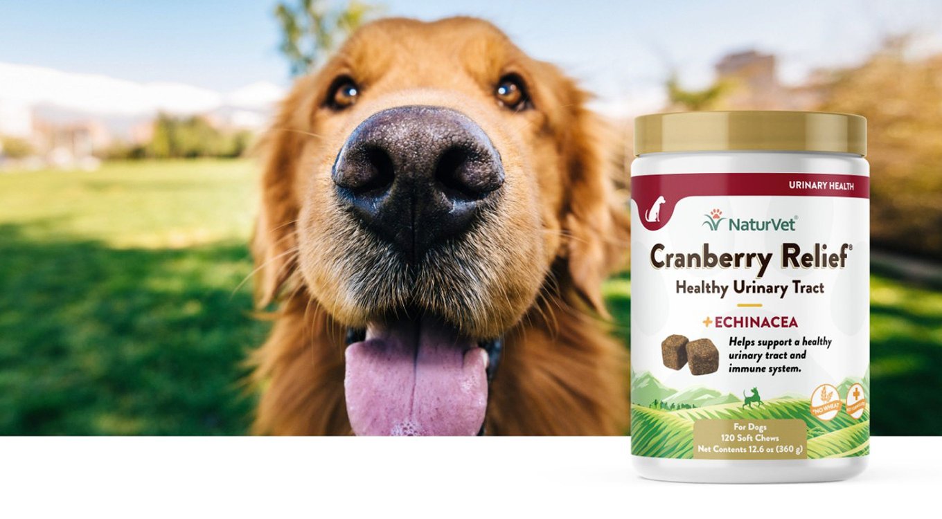 NATURVET Daily Multi-Vitamin All-In-One Bacon & Chicken Flavored ...