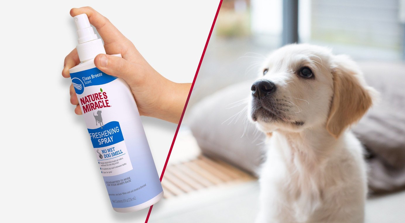 NATURE'S MIRACLE Deodorizing Dog Bath Wipes, 100 count, Sunkissed ...