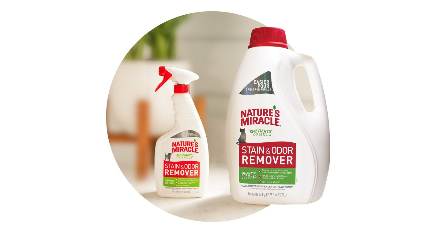 NATURE'S MIRACLE Oxy Formula Set-In Dog Stain Destroyer, 1-gal bottle - Chewy.com