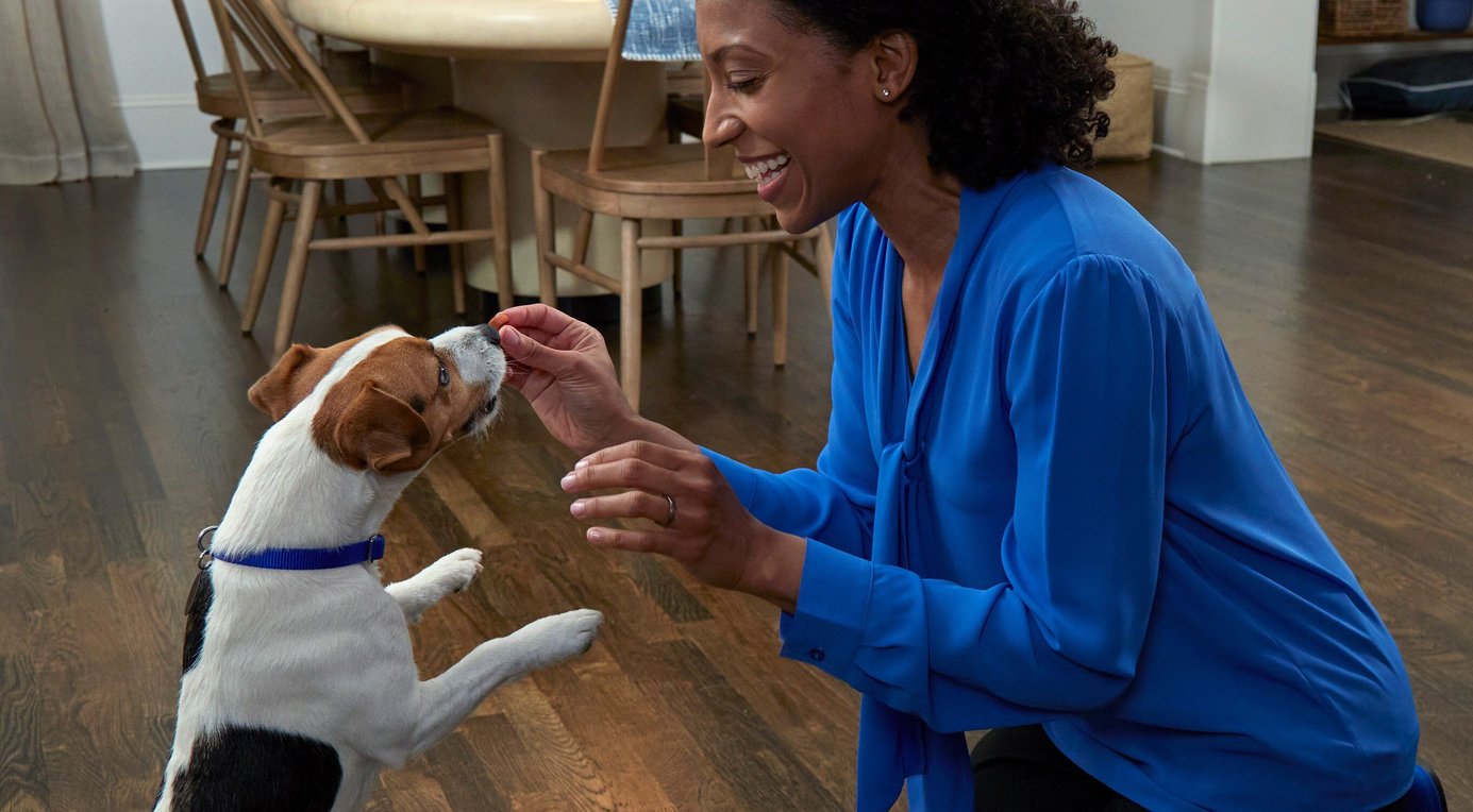 NEXGARD Chewables for Dogs, 60.1-121 lbs, (Red Box) - Easy Refills ...