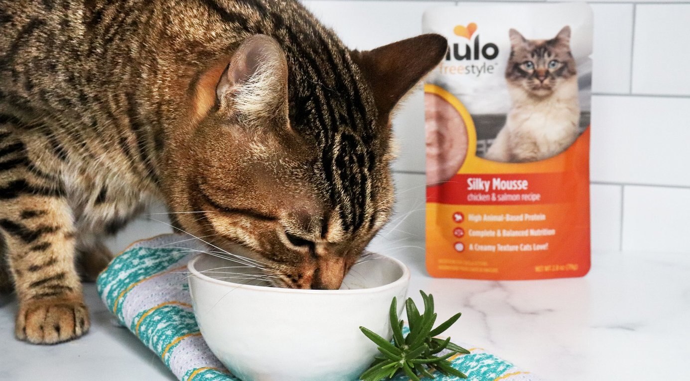 NULO FreeStyle Yellowfin Tuna & Shrimp in Broth Cat Food Topper, 2.8-oz ...