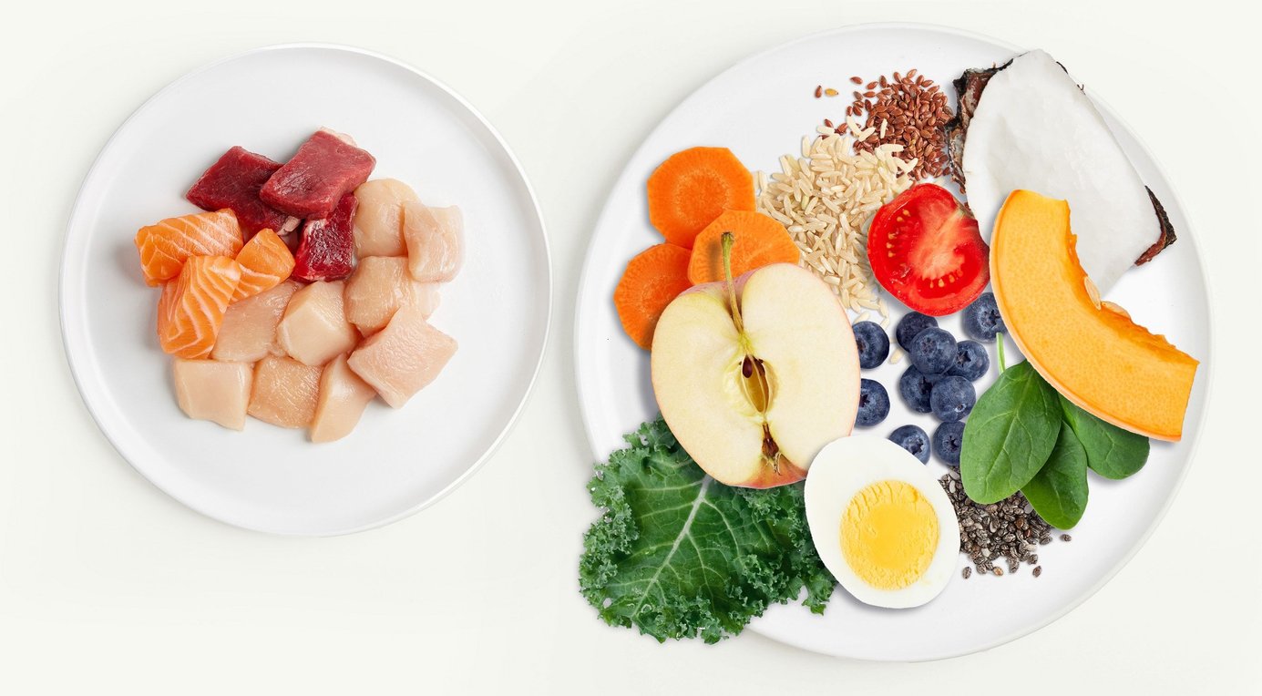 NUTRO Ultra Senior High Protein Trio of Proteins Chicken, Lamb & Salmon ...