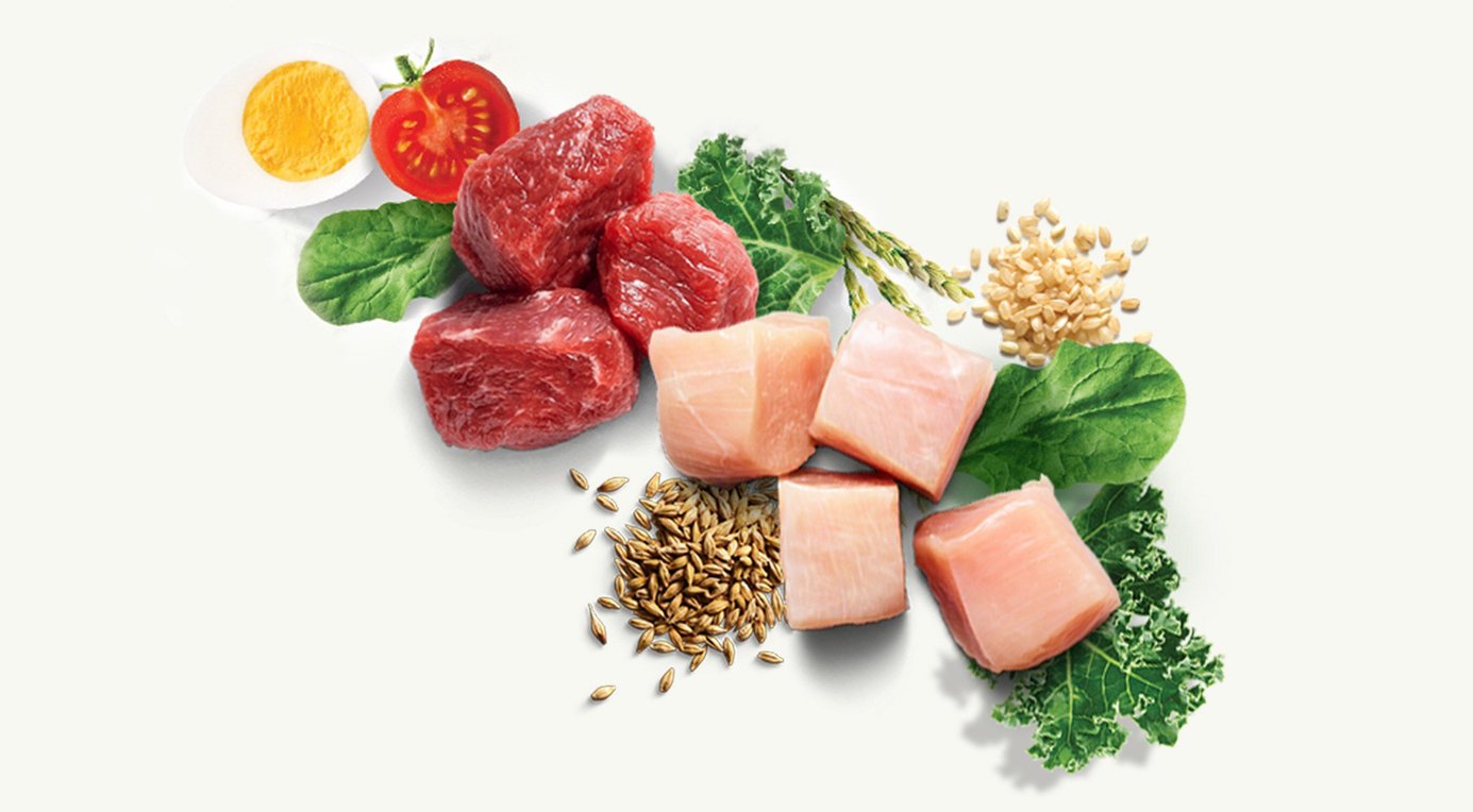 NUTRO Hearty Stew Variety Pack Chunky Beef, Tomato, Carrot & Pea Stew ...