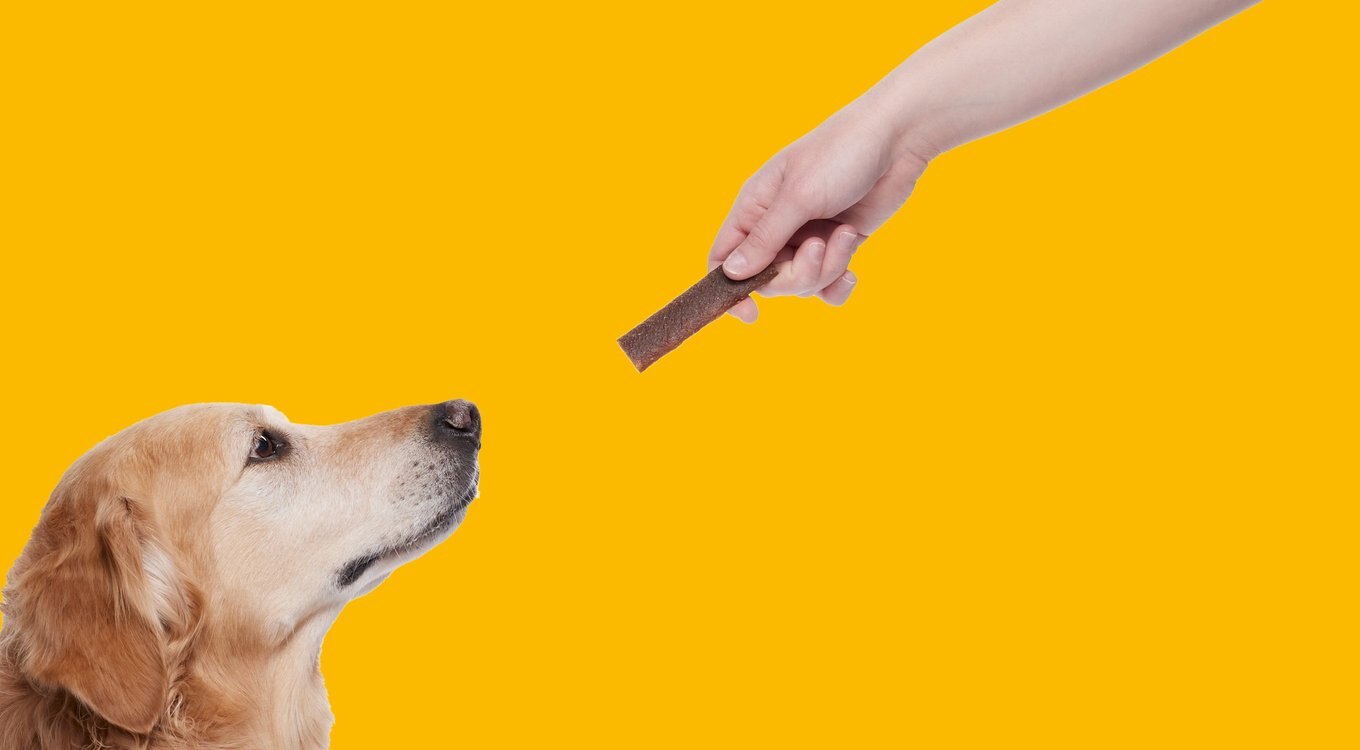 PEDIGREE Canine Cookout Chicken Flavored High-Protein Adult Meaty ...