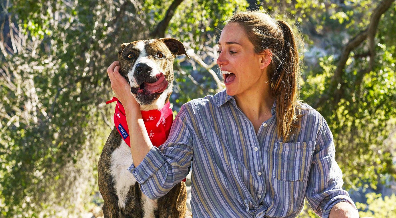 PETLAB CO. Allergy & Immune Probiotic Chew Supplement for Dogs, 30 ...