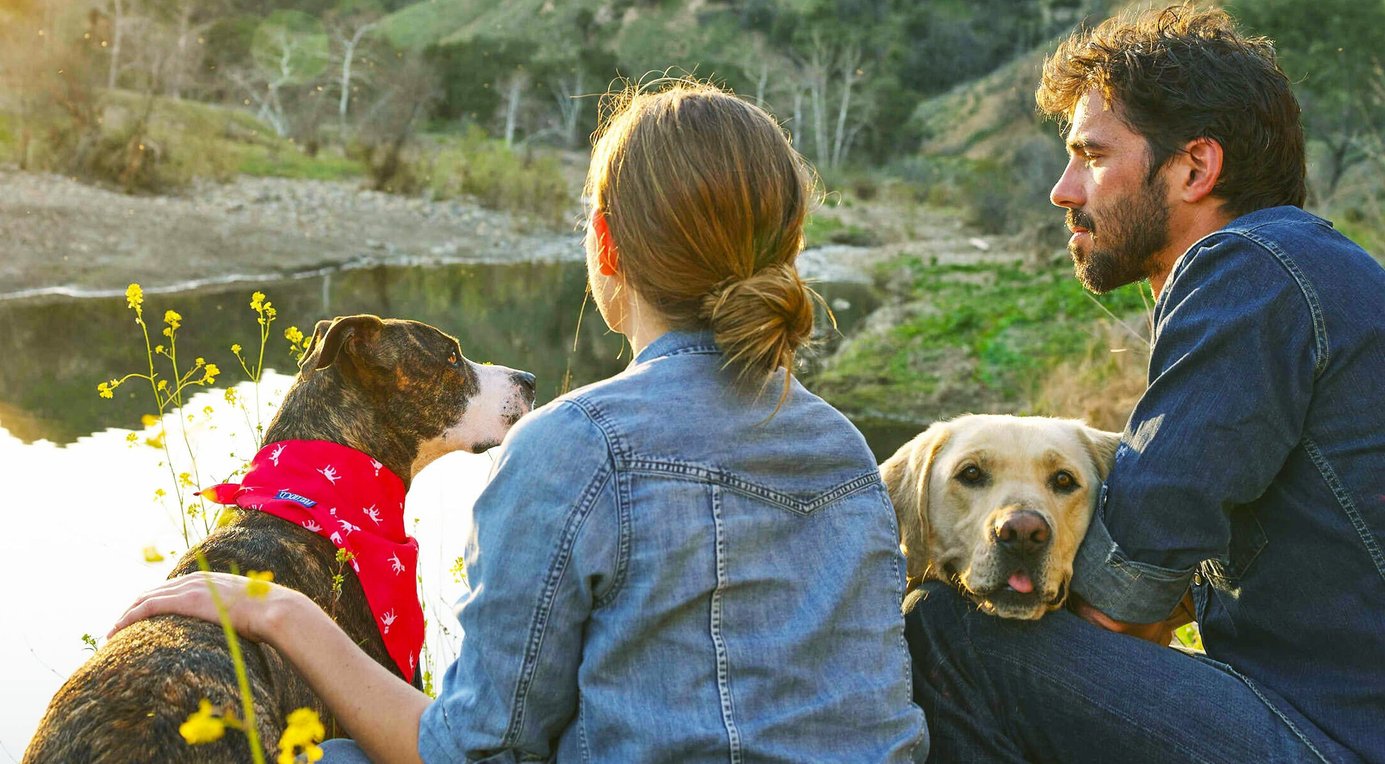 PETLAB CO. Itch Relief Pork Flavor Dog Supplement, 30 count - Chewy.com