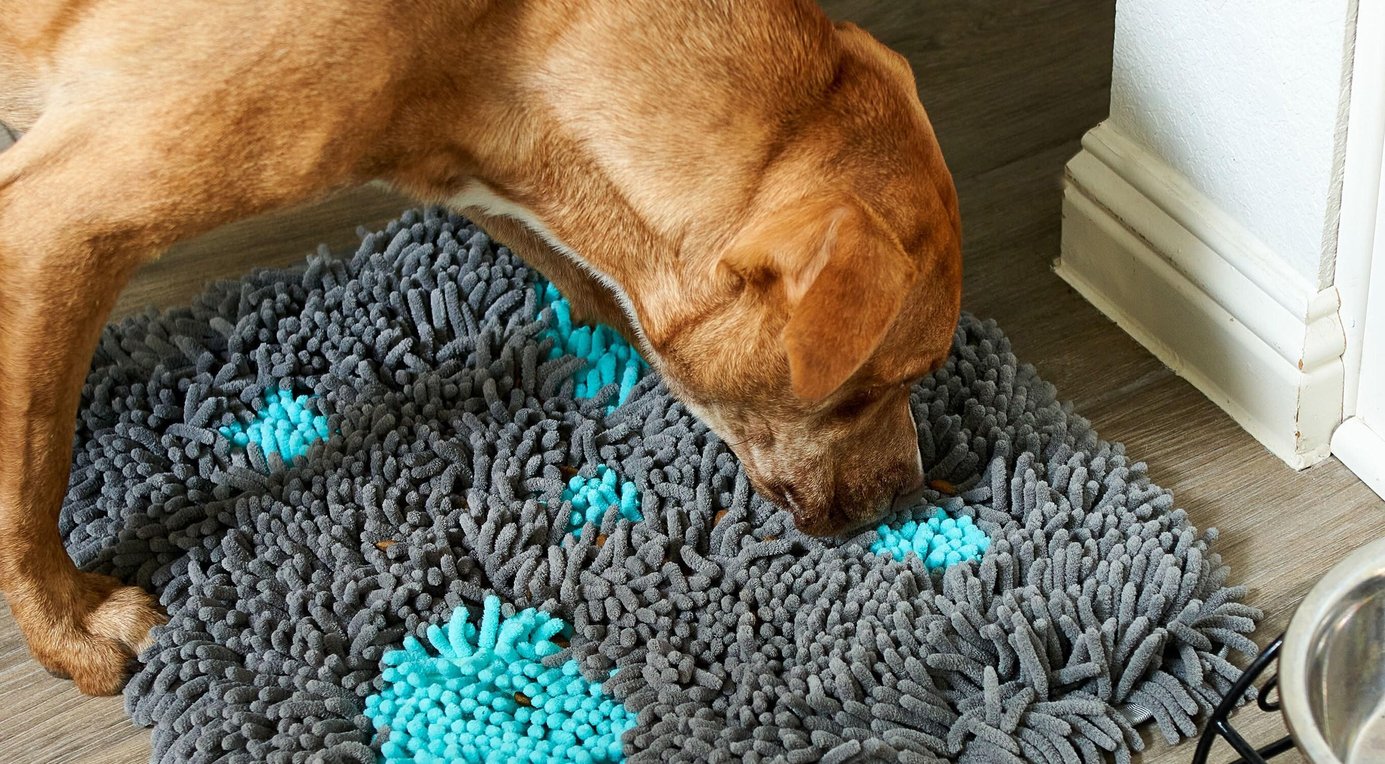 PET PARENTS Forager Snuffle Mat & Slow Feeder Dog Bowl, Meadow Natural ...