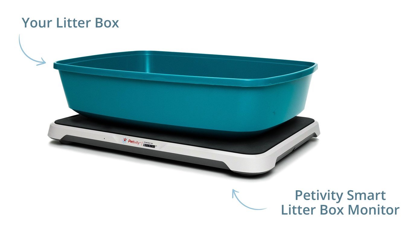 PURINA PETIVITY Smart Cat Litterbox Monitor System - Chewy.com