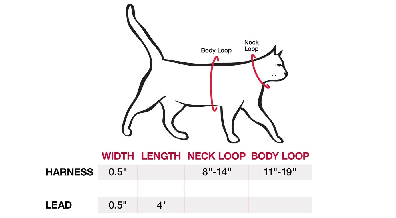 RED DINGO Classic Nylon Cat Harness & Leash, Green, 10.6 to 18.9-in ...