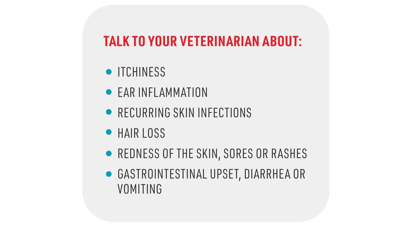 ROYAL CANIN VETERINARY DIET Selected Protein Potato & Rabbit Formula ...