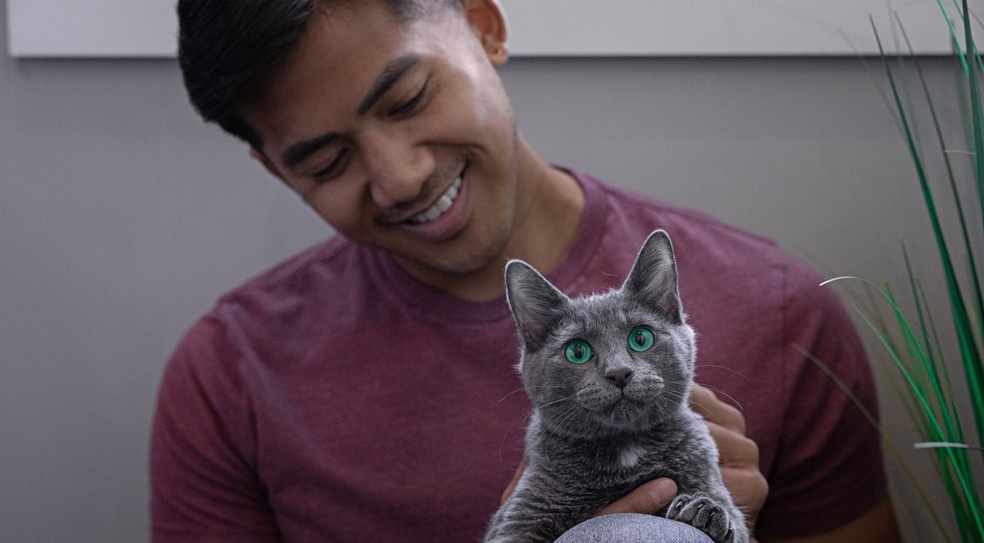 SHEBA Gravy Indulgence Chicken & Beef in Extra Gravy Variety Pack Grain ...