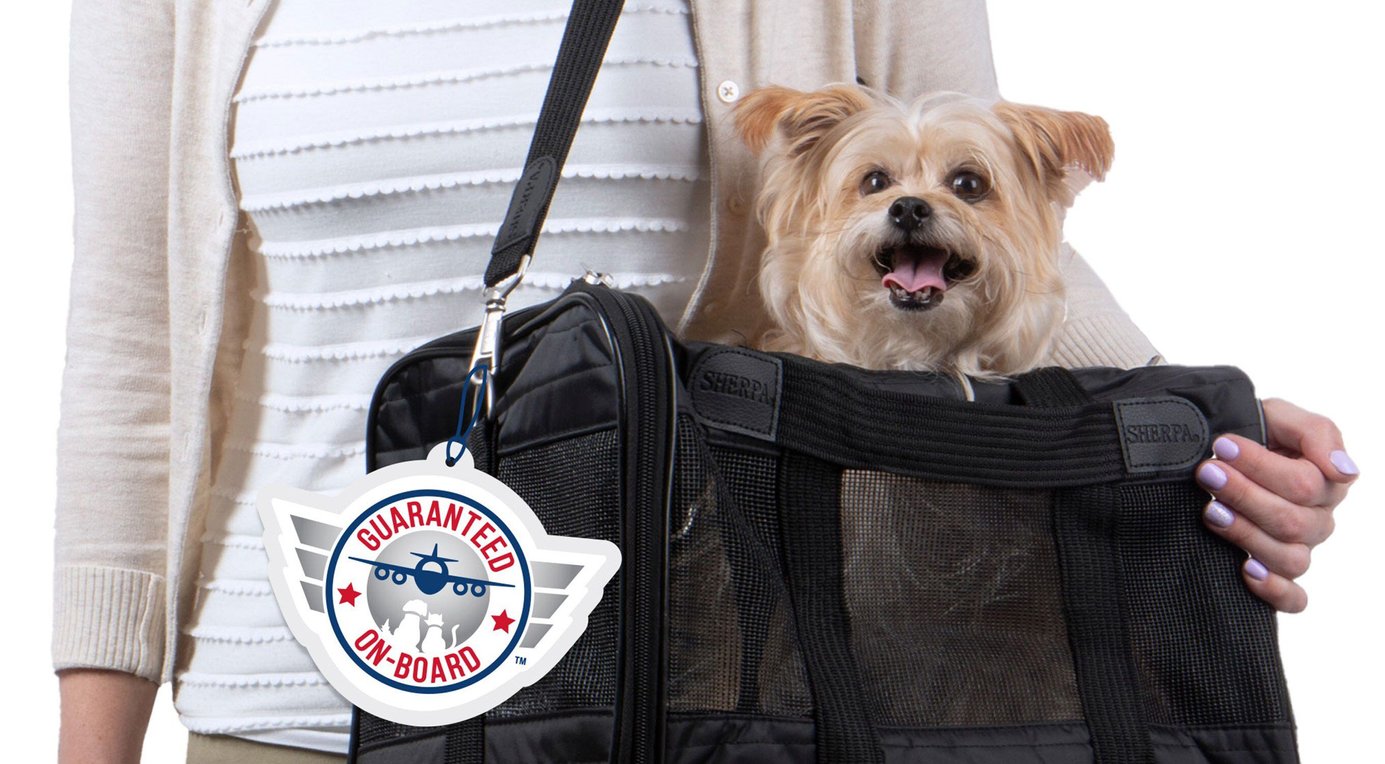 SHERPA Sling Hands Free Dog Carrier, Gray, Medium - Chewy.com