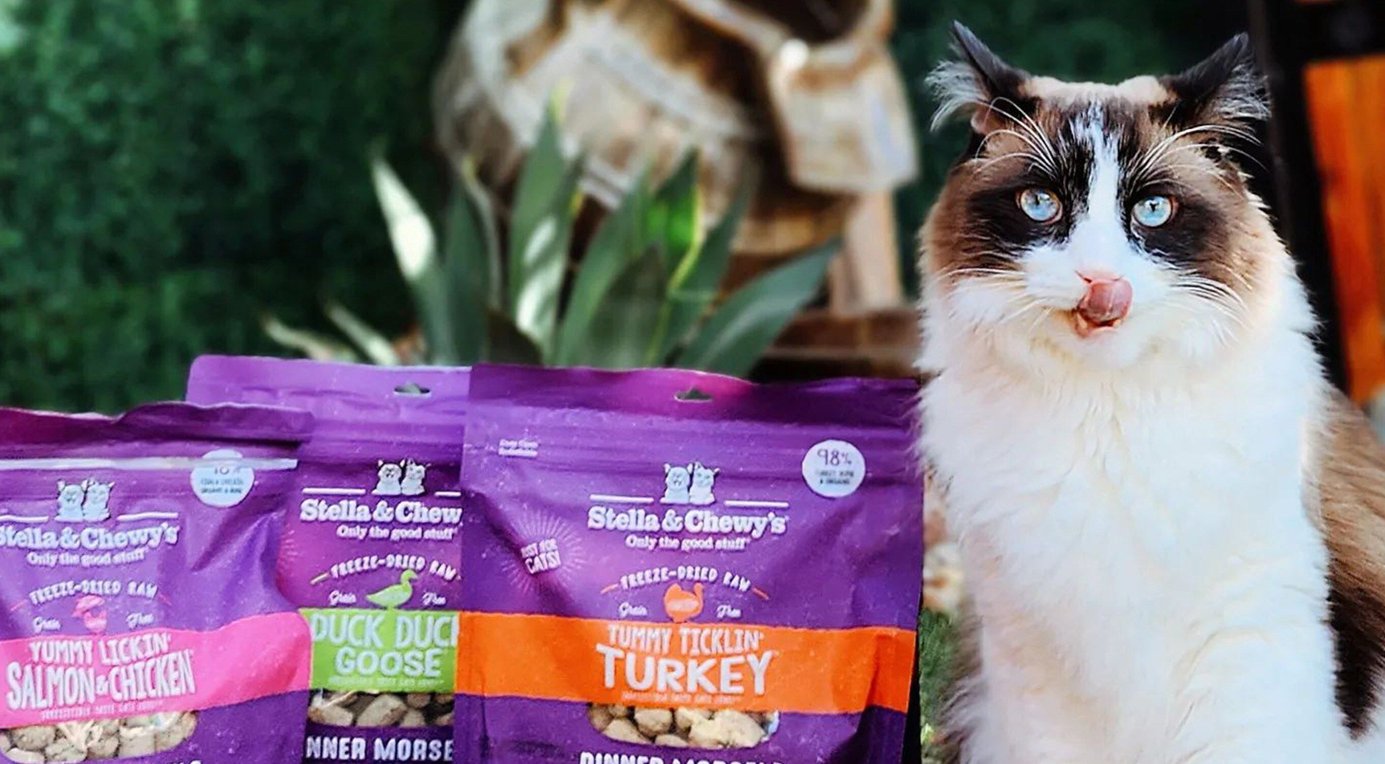 STELLA & CHEWY'S Stella's Solutions Digestive Boost Chicken Freeze-Dried Raw Cat Food, 7.5-oz ...