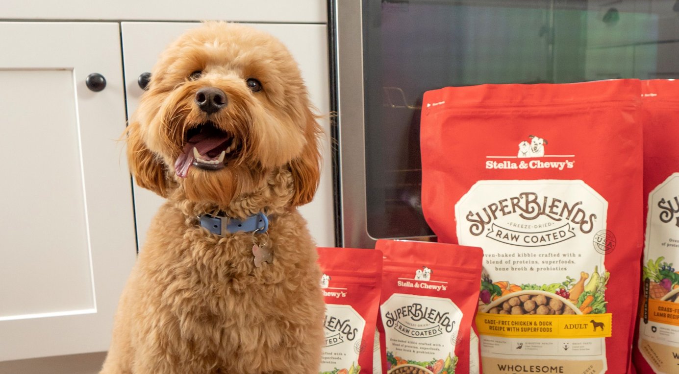 STELLA & CHEWY'S SuperBlends Raw Coated Wholesome Grains Grass-Fed Beef ...