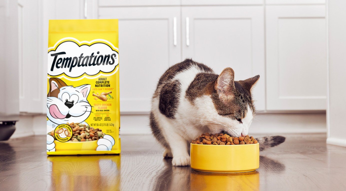 TEMPTATIONS Seafood Medley Flavor Adult Dry Cat Food, 27-lb bag - Chewy.com